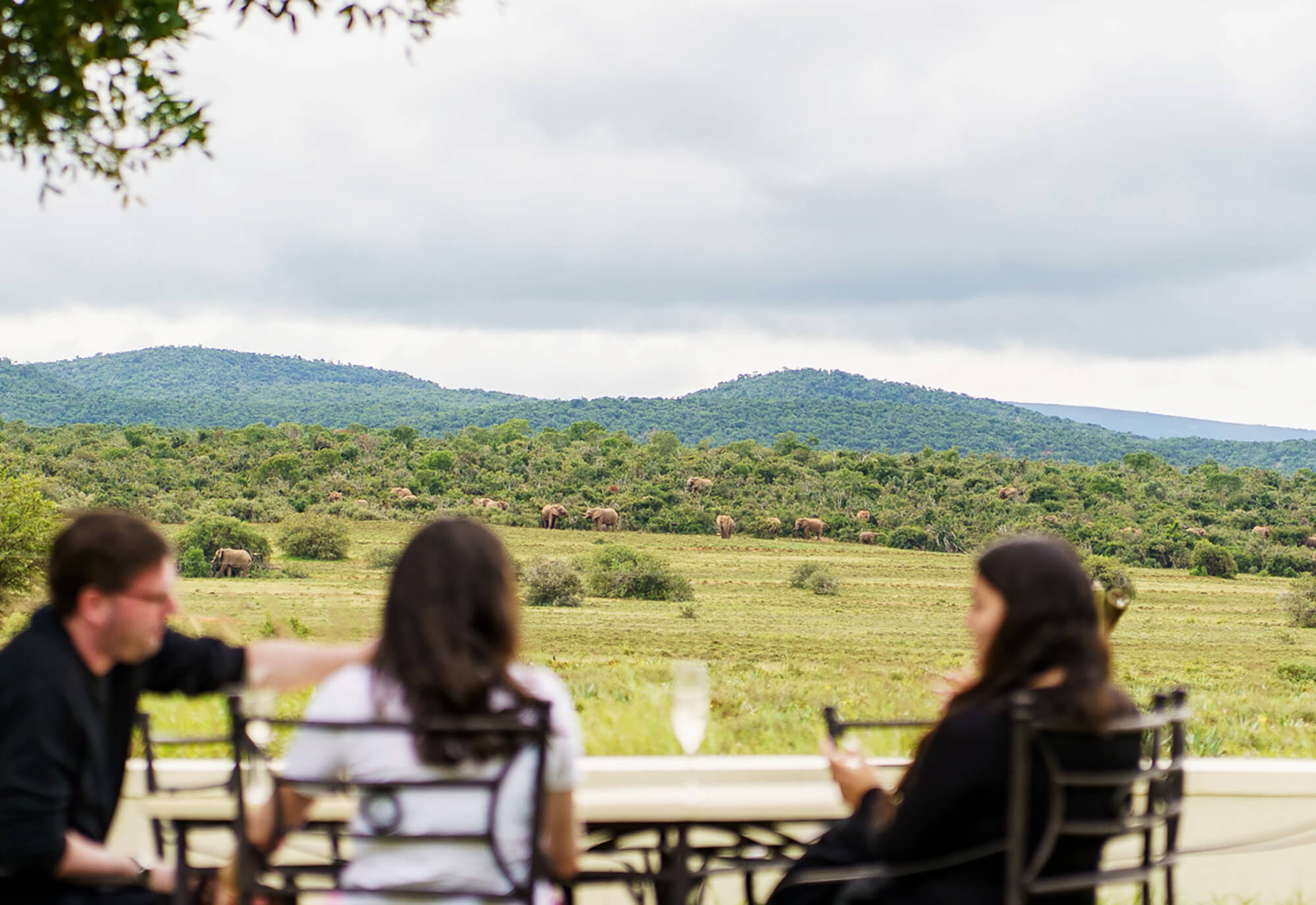 Family Accommodation Addo Elephant Park | Pepper Grove